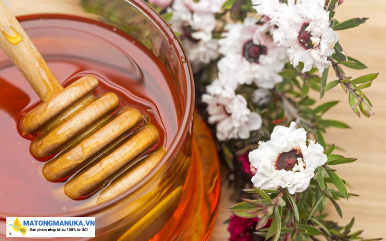 Mua Mật Ong Manuka Úc CHÍNH HÃNG | MGO Từ 83+ 1200+
